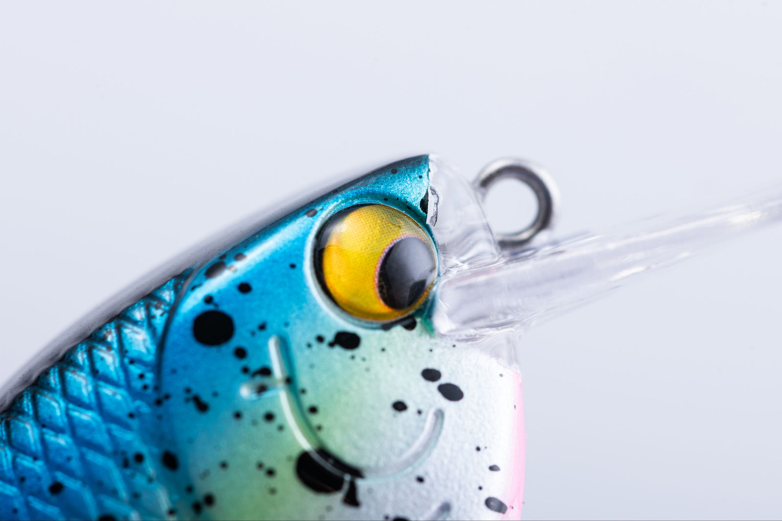 KG Bass Fishing Kit – Kendall Gray